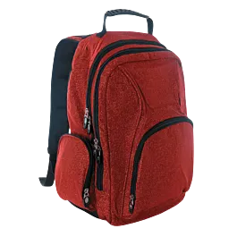 Varsity Shimmer Backpack